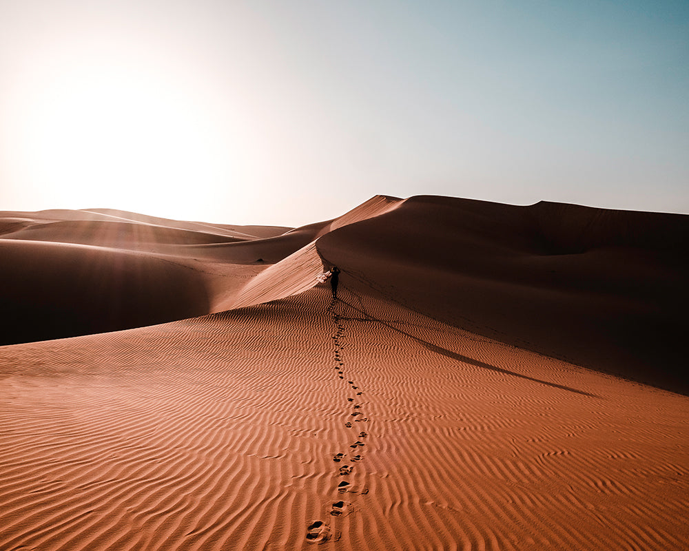 Get Out | How to Get into Landscape Photography – Gulf Photo Plus