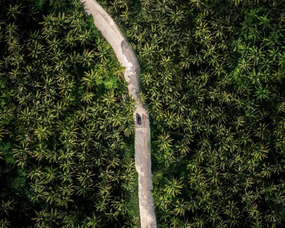 The Art of Aerial Imaging – Gulf Photo Plus